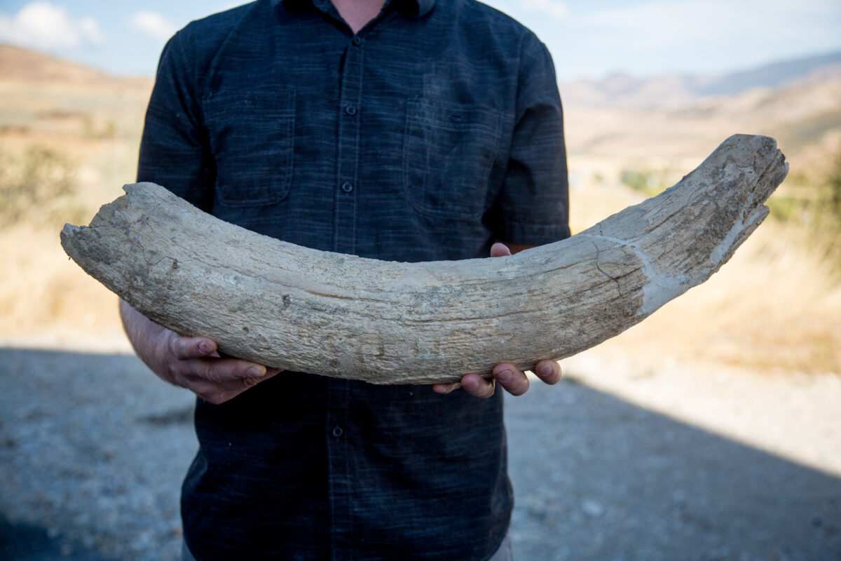 Science podcast digs for giant mammals that roamed Utah thousands of ...
